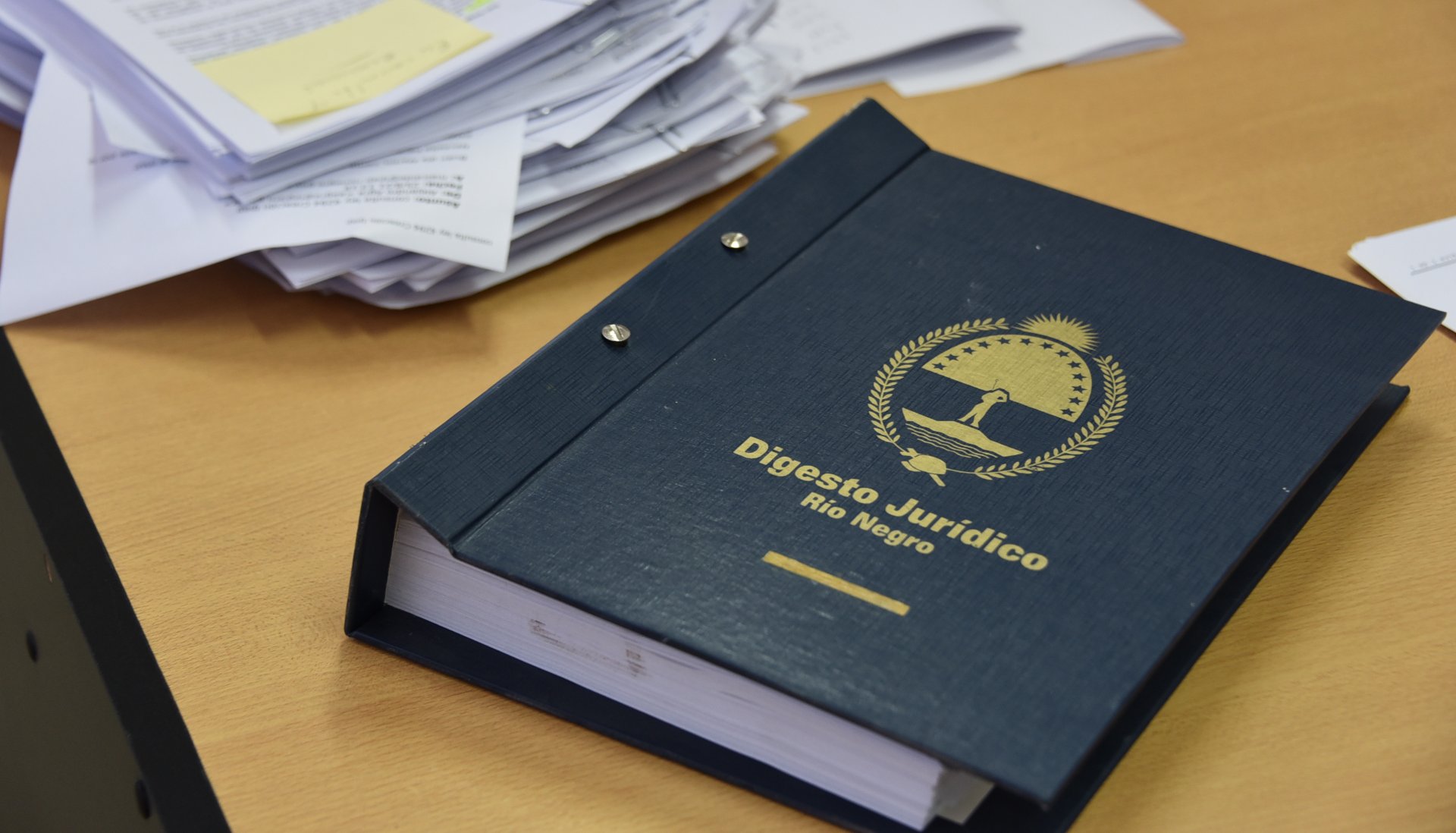 Río Negro: el Digesto Jurídico trabaja en la consolidación de 840 leyes